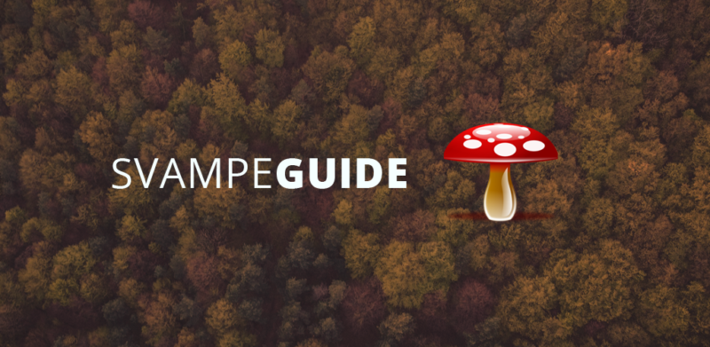 svampeguide android - Shroomi